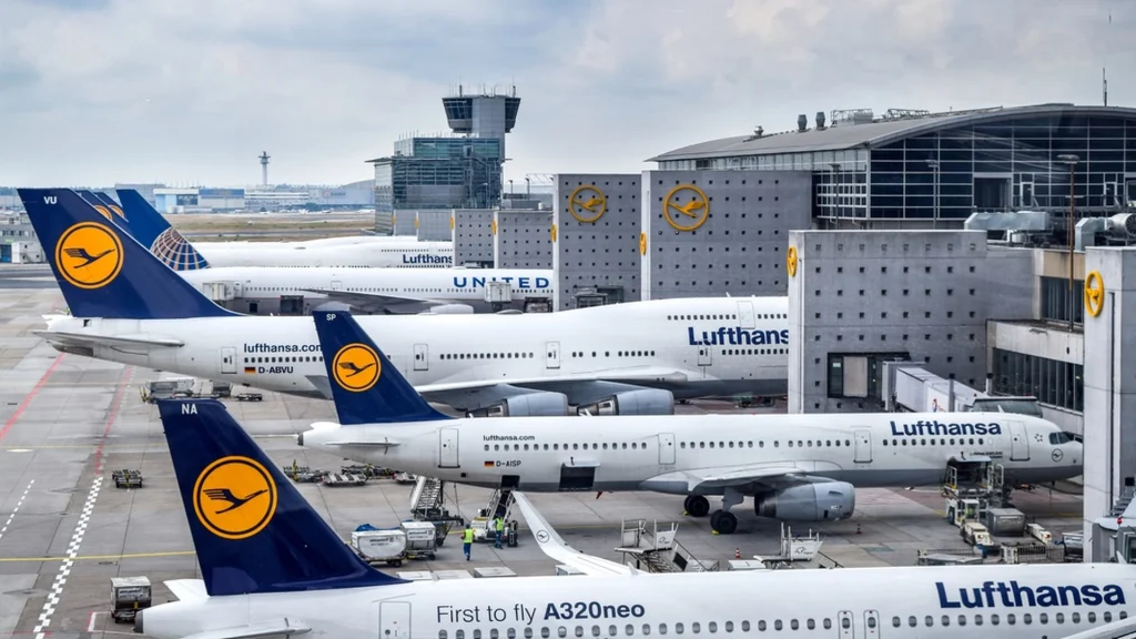 Kufferten blev taget i tolden: Du gætter aldrig, hvad de fandt