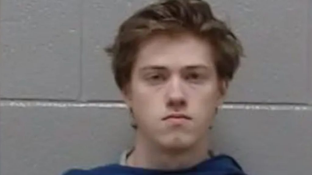 20-årig mand var opslugt af sit videospil: Nu er han sigtet for drab