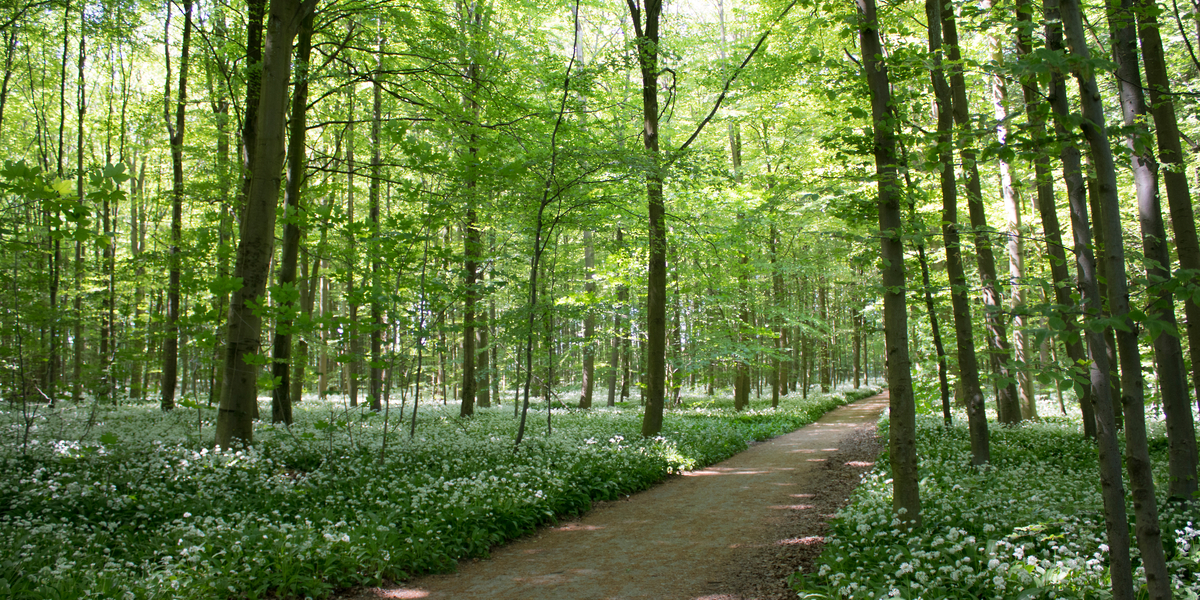Ekspert advarer danskerne: Kan have fatale konsekvenser